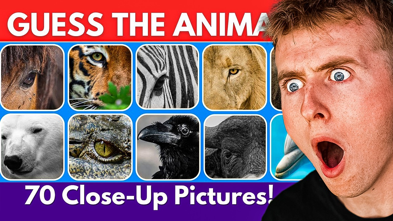 Guess the Animal from a CLOSE UP Picture Quiz! - YouTube