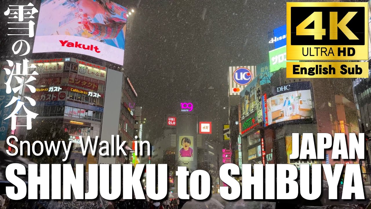 【Snowy Walk】From Shinjuku to Shibuya in the snow. It is a fantastic ...