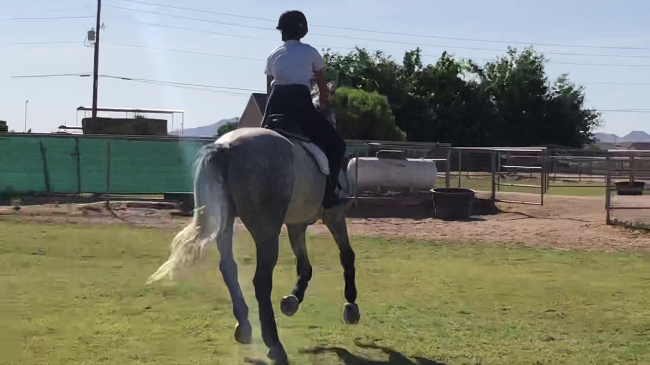 Cornets Diamond and Mackenzie - YouTube