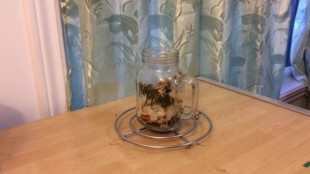 Extraction de parfum par distillation à la vapeur d’eau - YouTube