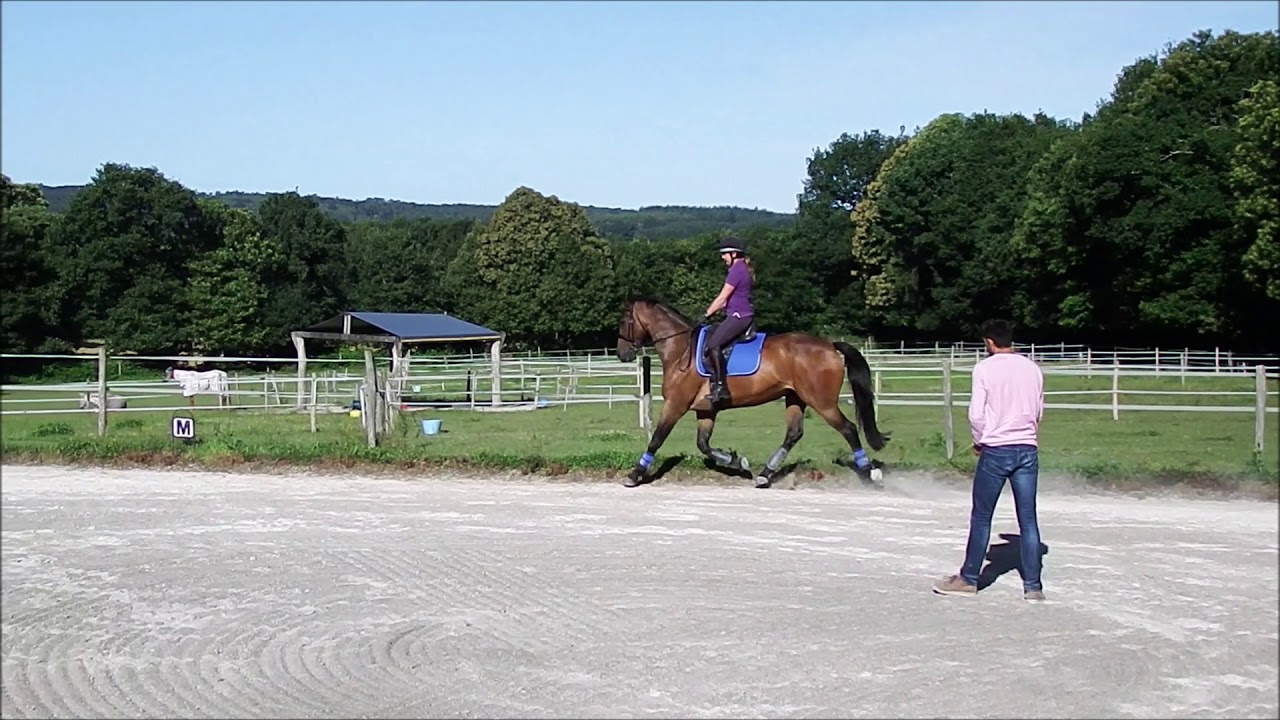 Dressage lesson with Herve - YouTube