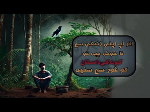 The Story Of A Crow For Those People Who Are Sad In Their life 😭😢🧬 ...