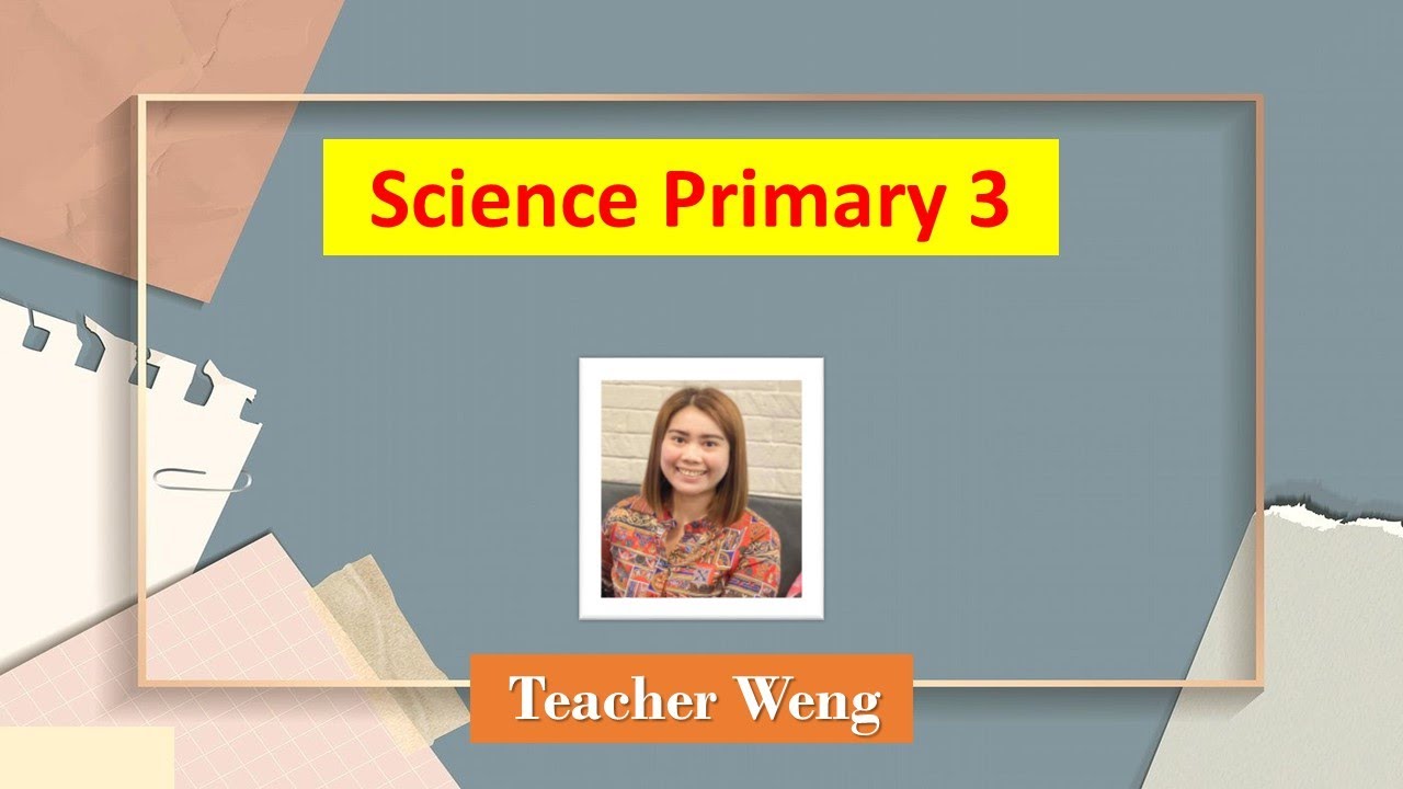 Science P.3 ( 22/06/64) - YouTube