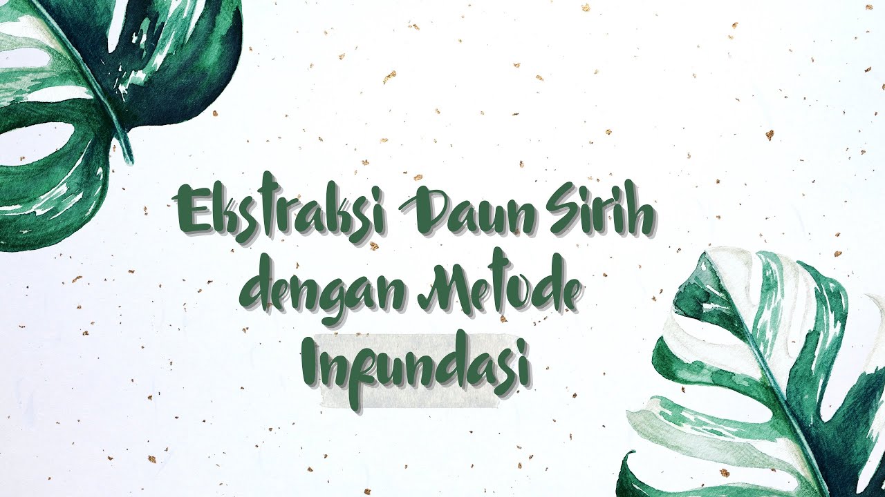 EKSTRAKSI SIMPLISIA SEGAR DAUN SIRIH DENGAN METODE INFUNDASI - YouTube