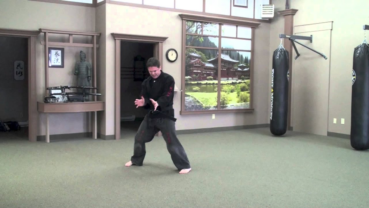 Kenpo Karate - 4th Dan Test Clips - YouTube