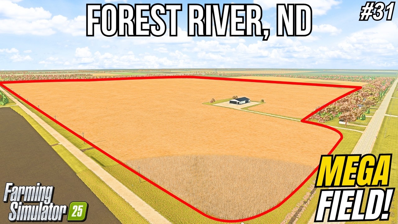 MEGA FIELD HARVESTING OVER 450 ACRES WITH 3 HUGE CLAAS COMBINES ...