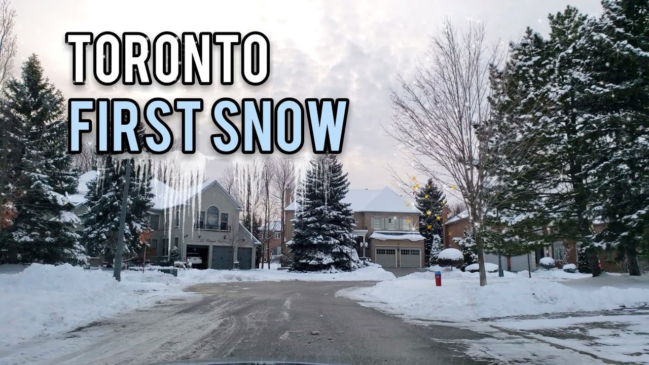 Toronto First Beautiful Winter Snow Walk, Canada - YouTube