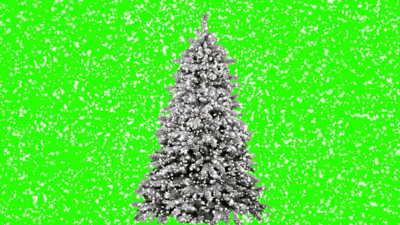 Tree Green Screen