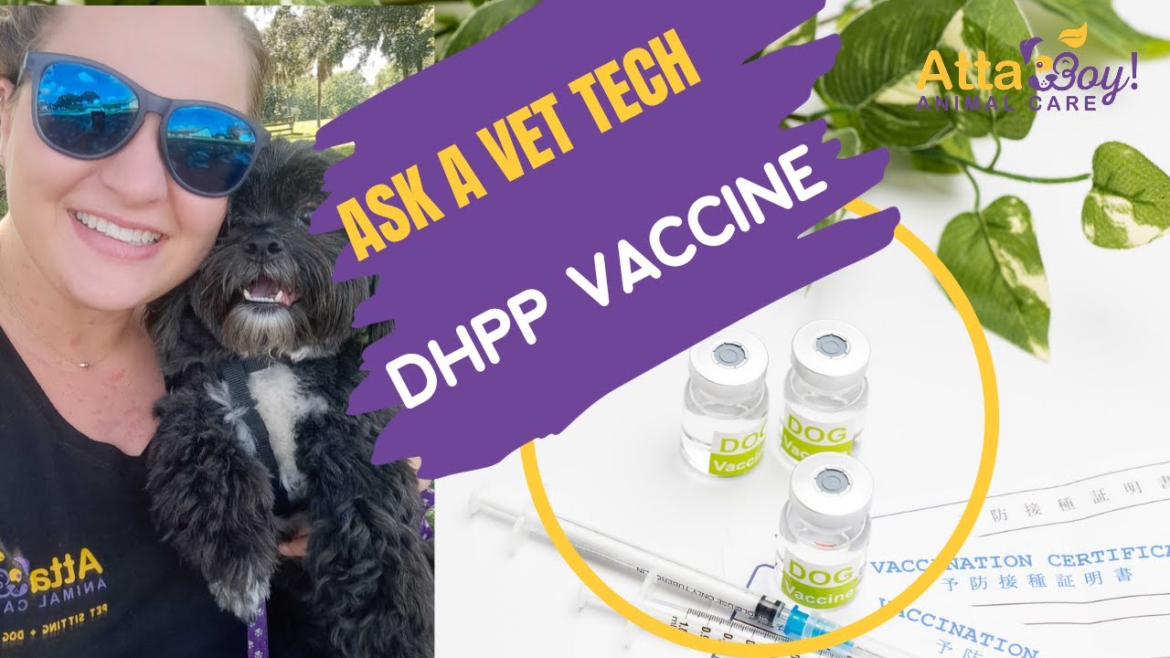 Ask a Vet Tech Series- DHPP vaccine for Dogs - YouTube