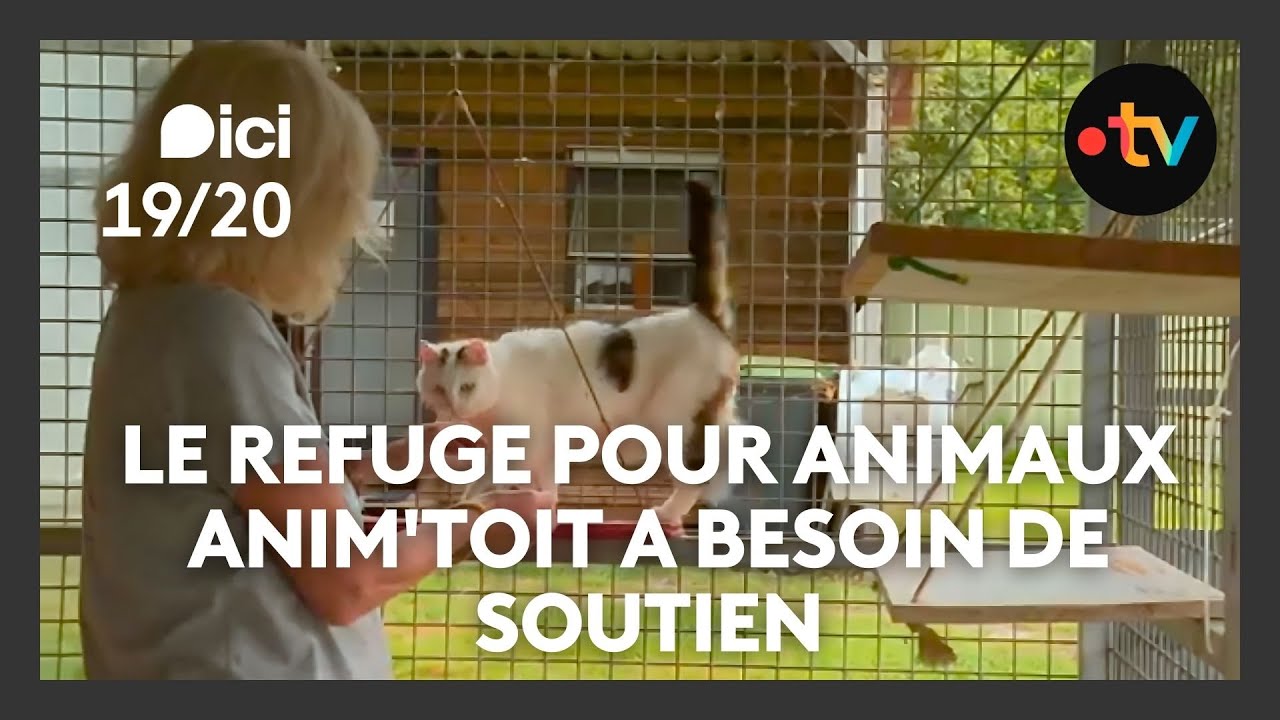 Indépendant, situé à la campagne, le refuge pour animaux Anim'Toit a besoin de soutien - YouTube