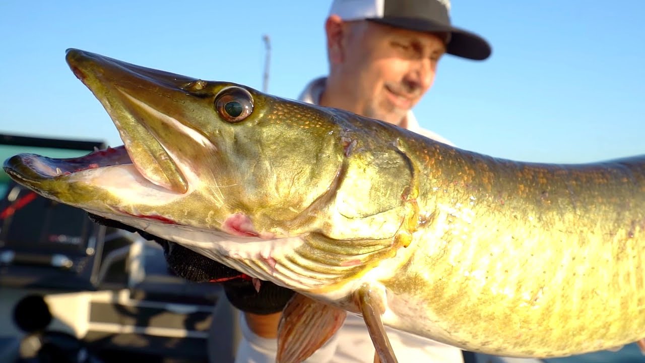 We Went To IOWA Musky Fishing!! - YouTube