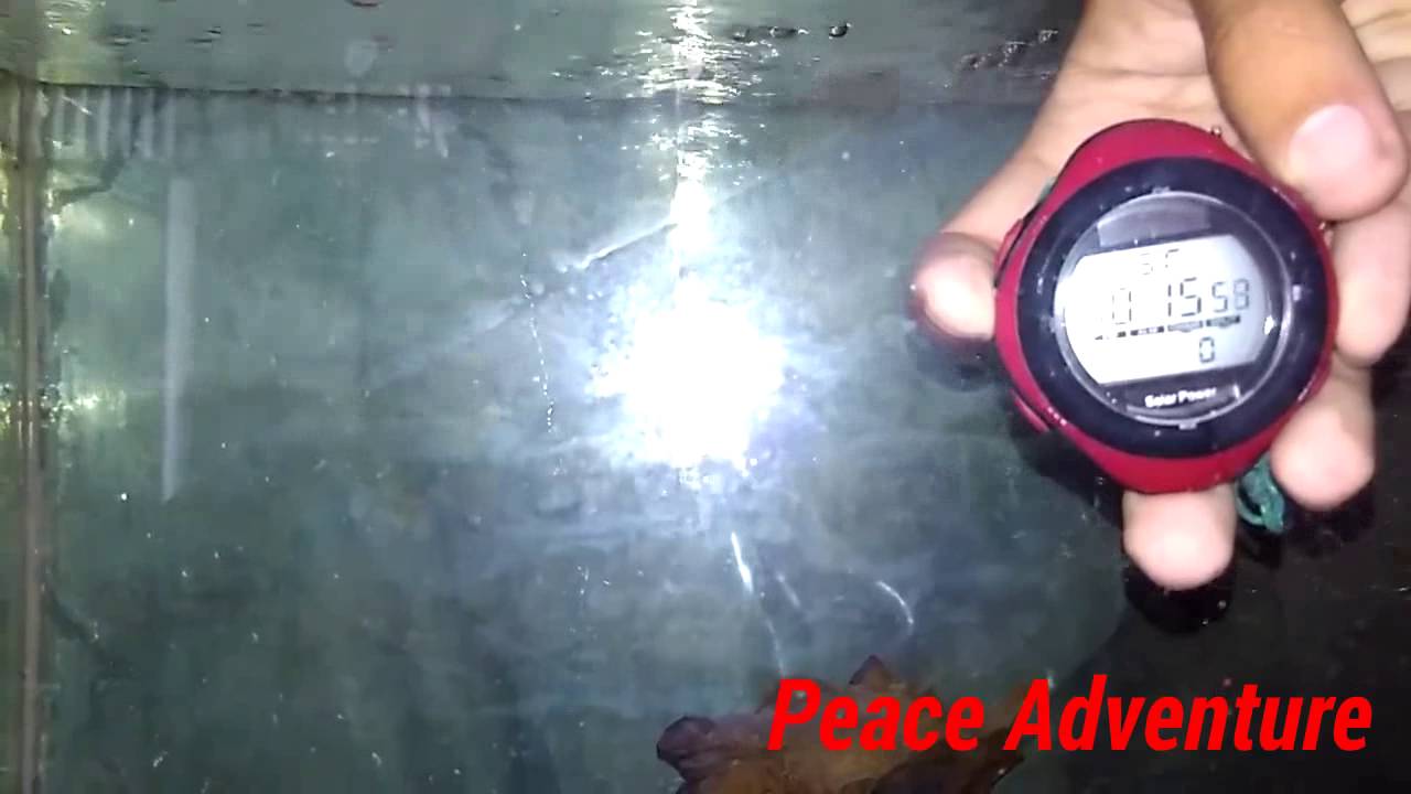 jam tangan solar power - YouTube