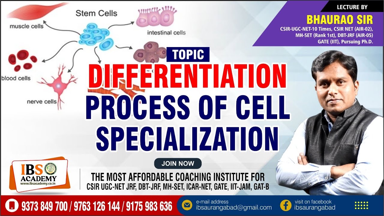 COMMITMENT SPECIFICATION & DETERMINATION - YouTube