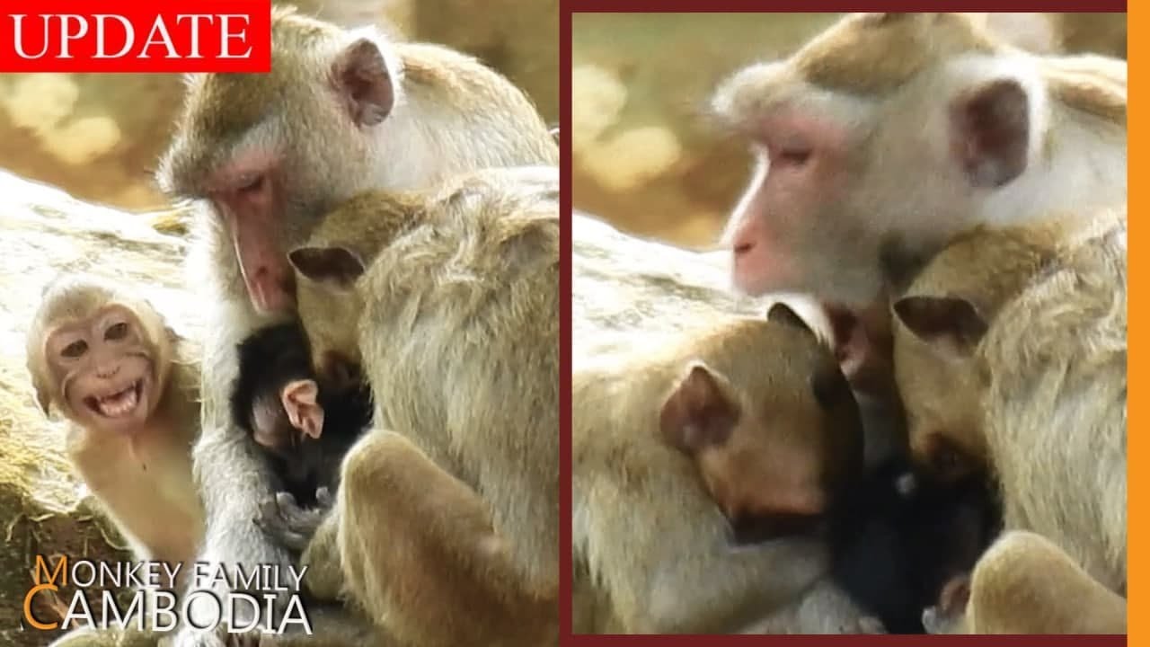 Horrible ...Jane Bite Janna's Head Till Cry Show White Teeth Out - YouTube