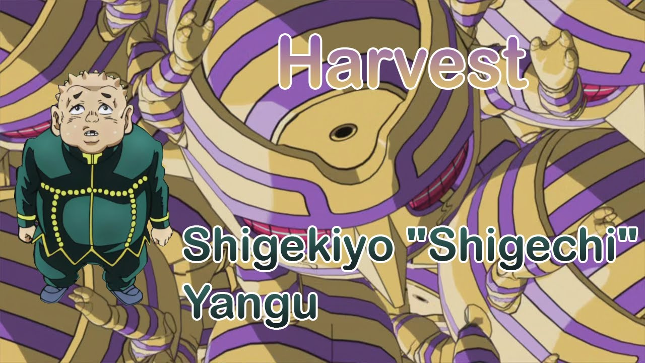 Harvest - Shigekiyo "Shigechi" Yangu (JJBA Musical Leitmotif/AMV) - YouTube