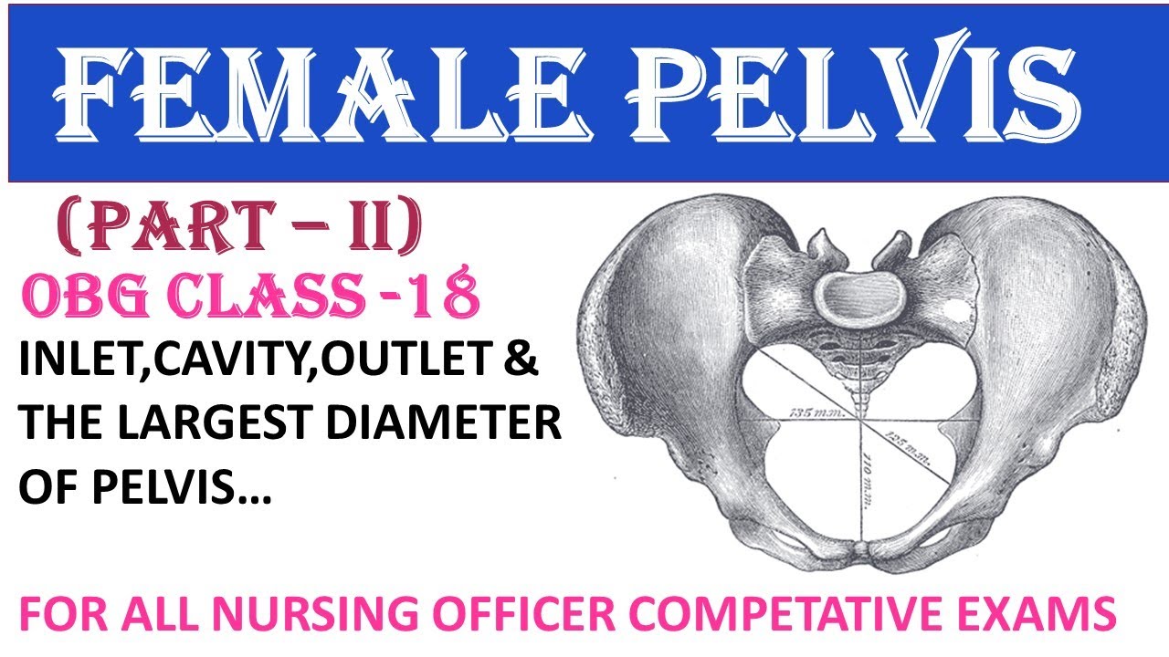 OBG Class - 16 ll Inlet,Cavity,Outlet & diameter of female pelvis ll ...