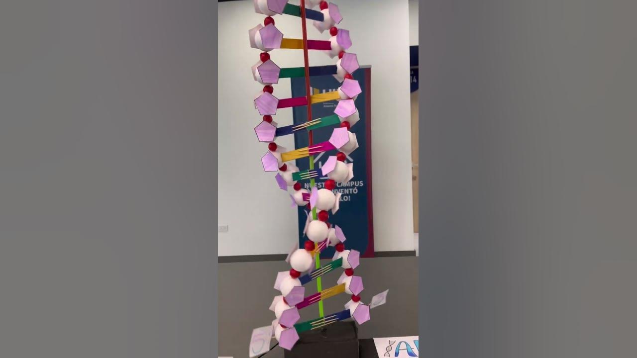 Maqueta ADN (Watson y Crick) Facultad de Odontología - YouTube