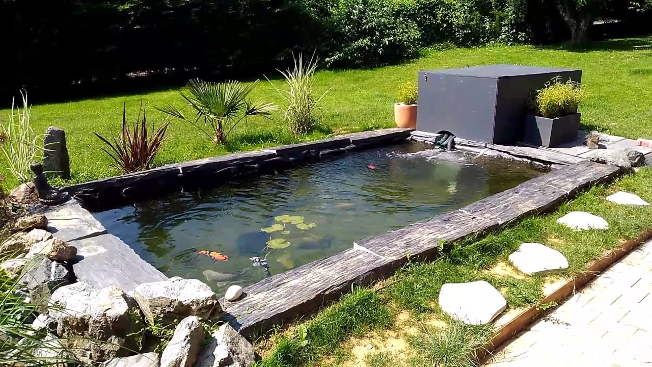Bassin avec koi du Japon de chez boutique bassin - YouTube