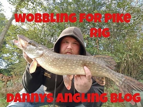 Wobbling Roach Rig and Livebait Fishing For UK Pike - Session 5 - YouTube