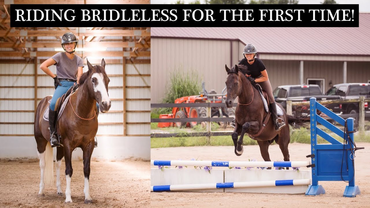 RIDING BRIDLELESS FOR THE FIRST TIME - YouTube