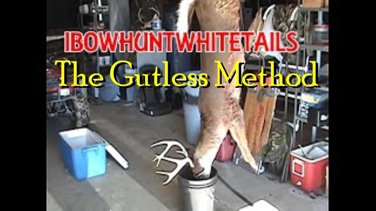 135 / "The Gutless Method" - YouTube