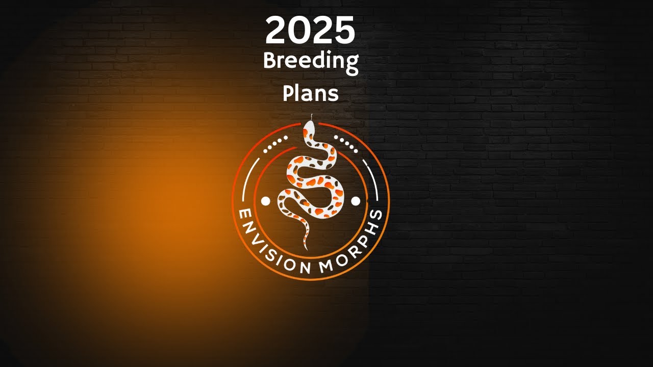 2025 Breeding Plans! - YouTube