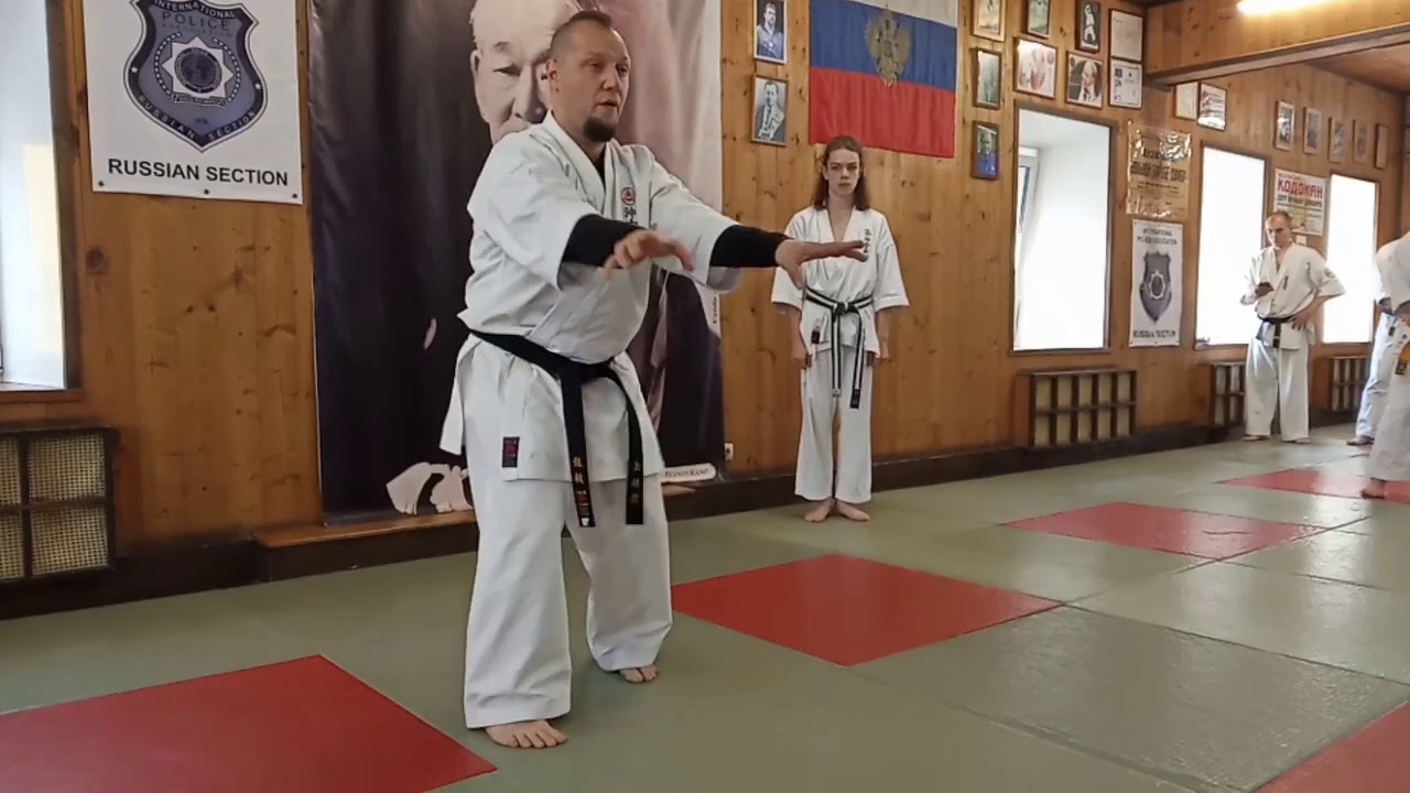 Budo Academy 39 / wa uke sokusen geri (shomen geri) Uechi ryu Karate ...
