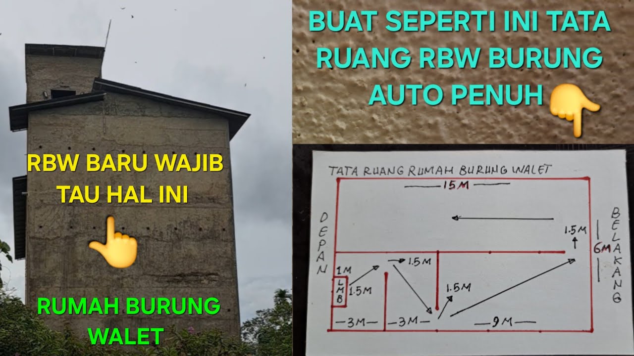 buat seperti ini || tata ruang rumah burung walet || burung auto penuh ...
