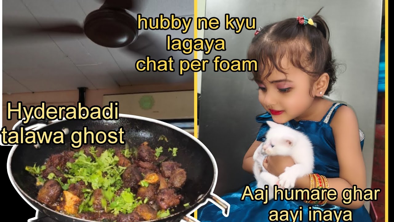 "Hyderabadi Talawa Ghost & Aaj Humare Ghar Aayi Inaya! 🐱🍴" - YouTube