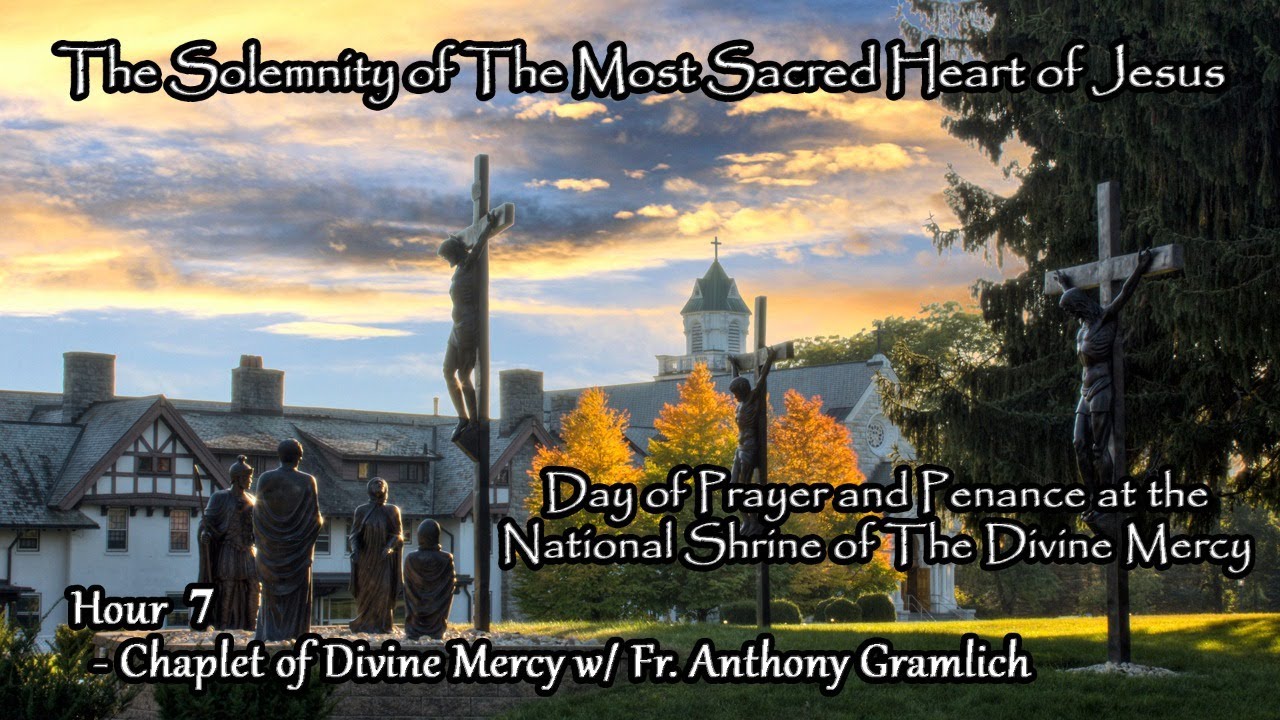 Hour 7: 3 p.m. EST | Chaplet of Divine Mercy w/ Fr. Anthony Gramlich ...
