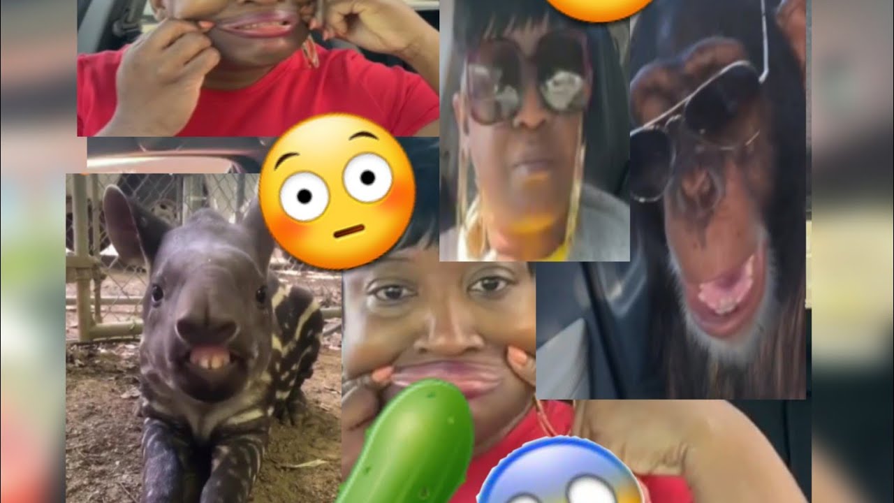 Glitz & Glam Lesha Sl@m TG@L An Call Her Fish mouth An Tell Her Go Cle ...