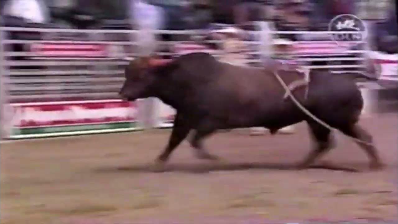 Corey Navarre vs Caliente - 04 PBR Pendleton (86.5 pts) - YouTube