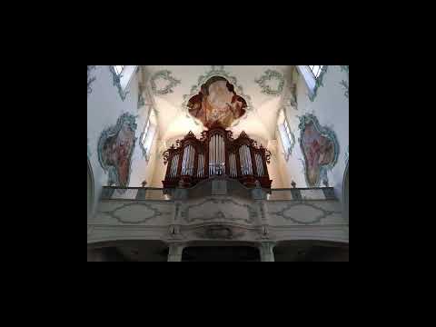 Orgelkonzert Thomas Nipp