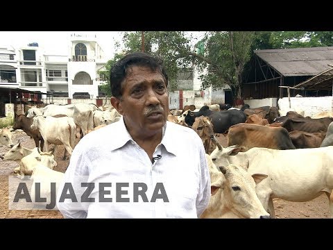 India tightens beef-slaughtering laws amid controversy