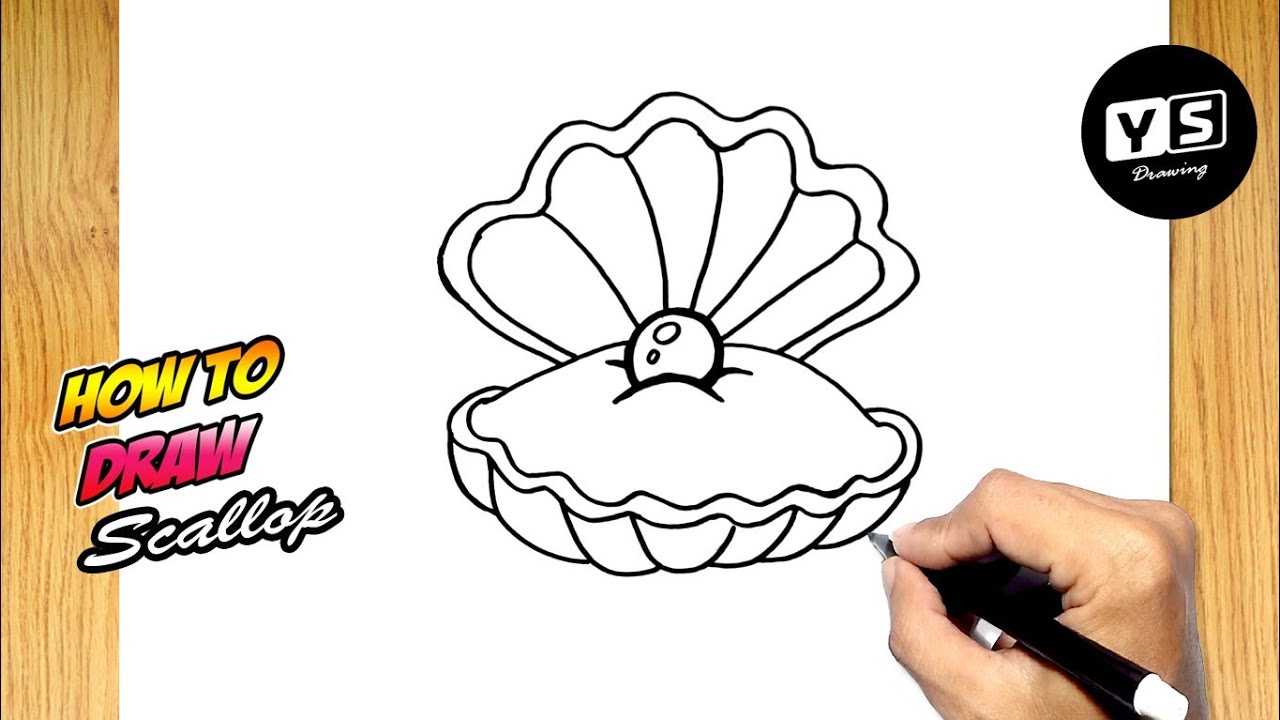 How to draw Scallop - YouTube
