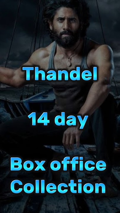 Thandel 14 day Box office collection || #shorts #thandel #viral #nagachaitanya # ...