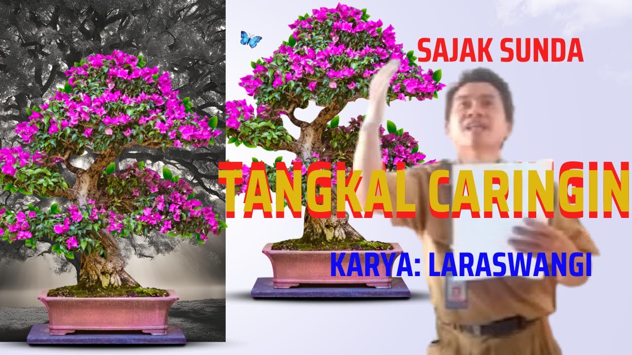 SAJAK SUNDA "TANGKAL CARINGIN" KARYA LARASWANGI - YouTube