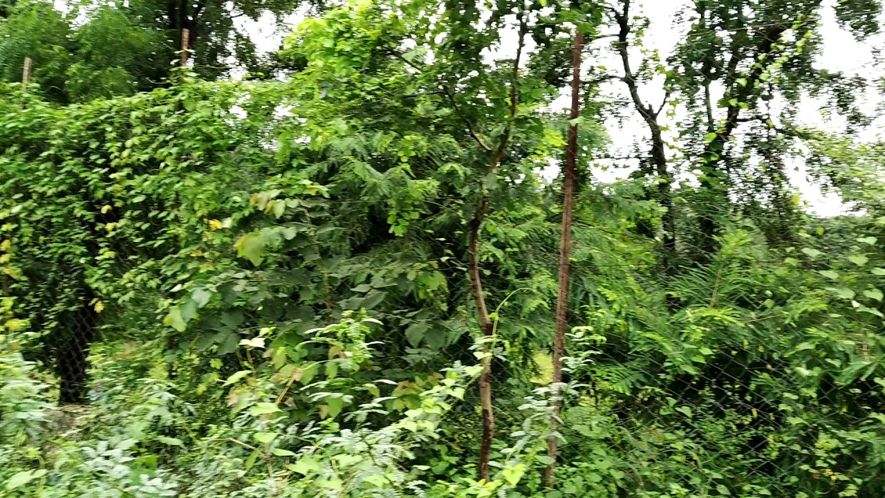 Kerva dam tour 7(3) - YouTube
