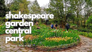 Shakespeare Garden in Central Park | NYC