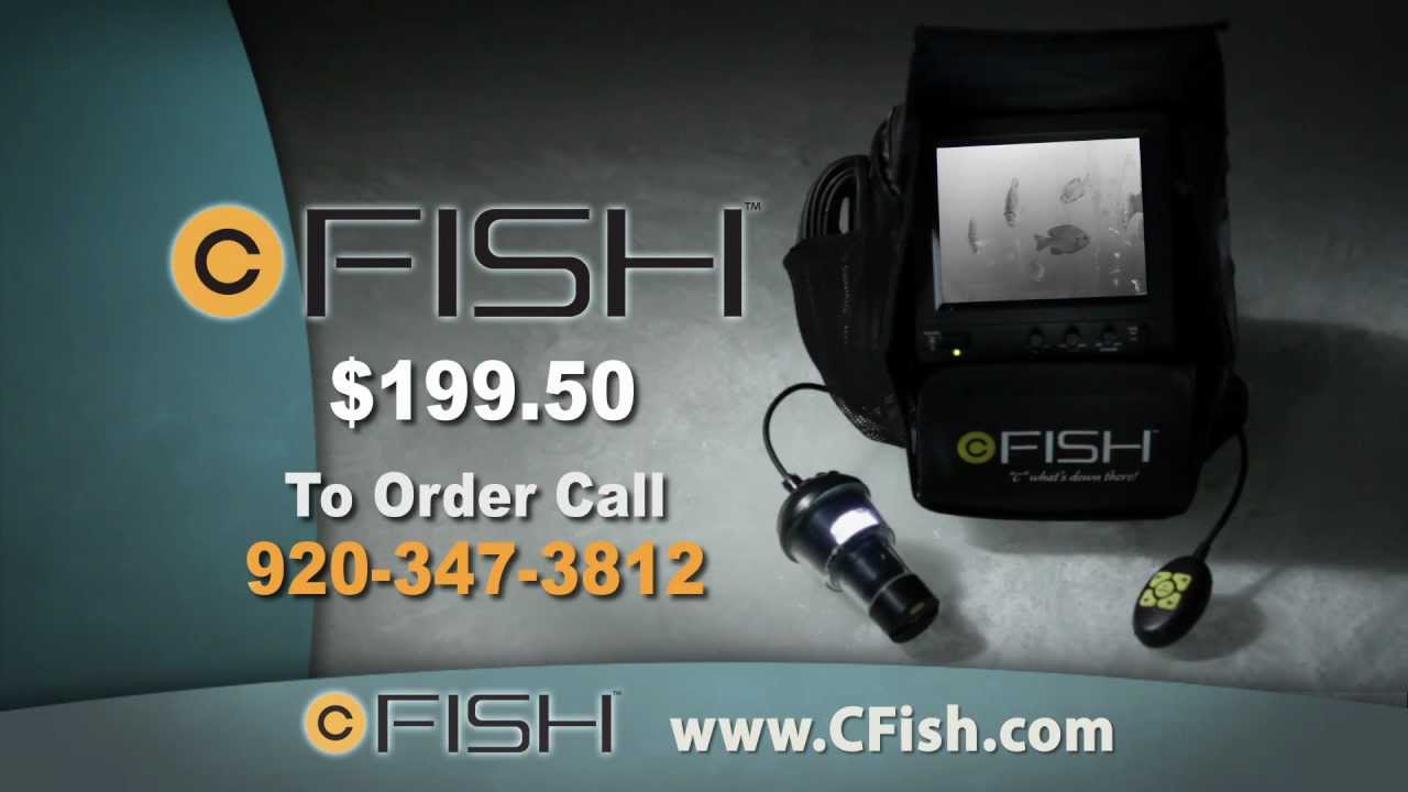 Introducing CFish - YouTube