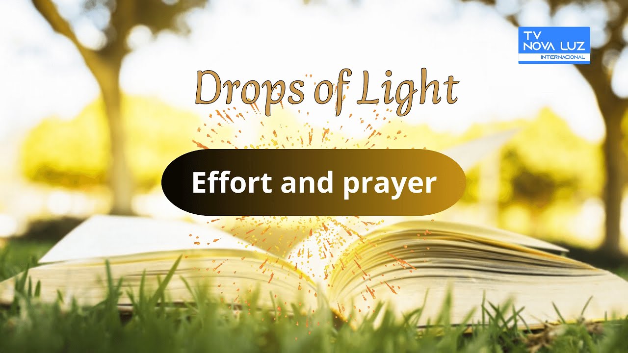 Drops of Light - 006 Effort and prayer - YouTube