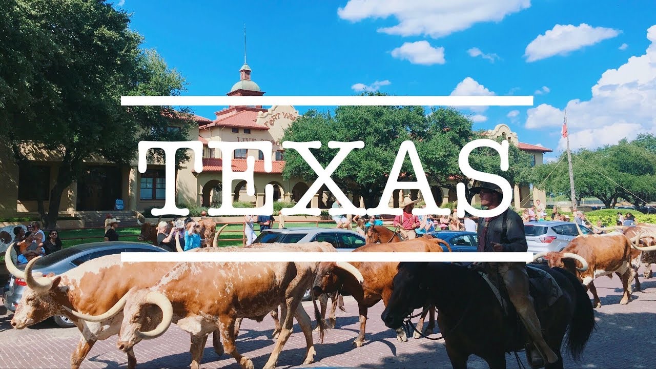 Texas Aug. 2016 - YouTube