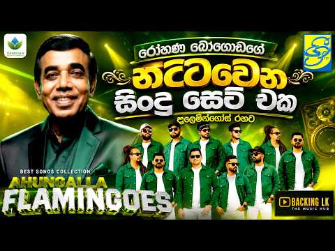 Rohana Bogoda Best Songs Collection | With Ahungalla Flamingoes | Shree FM Sindu Sajje | Backing LK