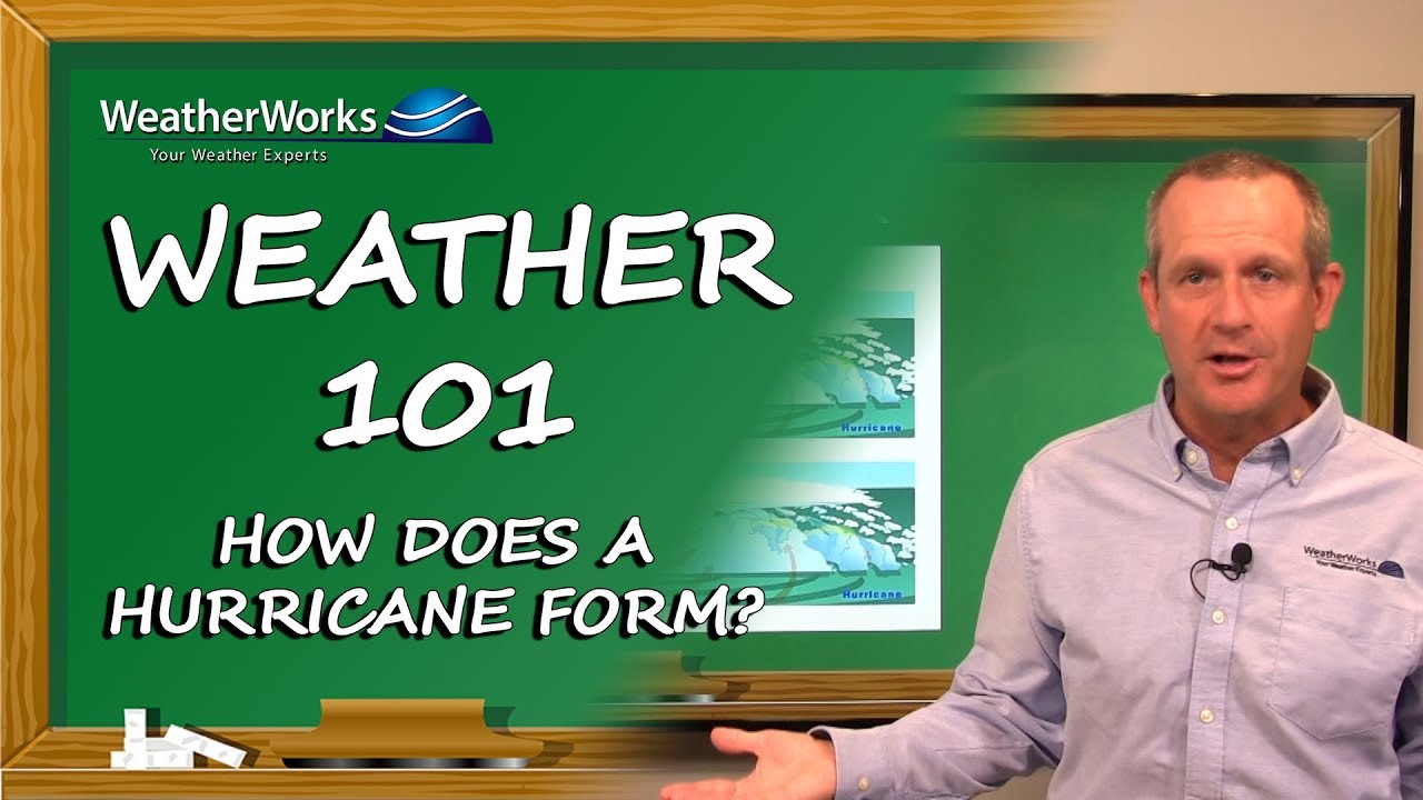 Weather 101: How Does A Hurricane Form? - YouTube