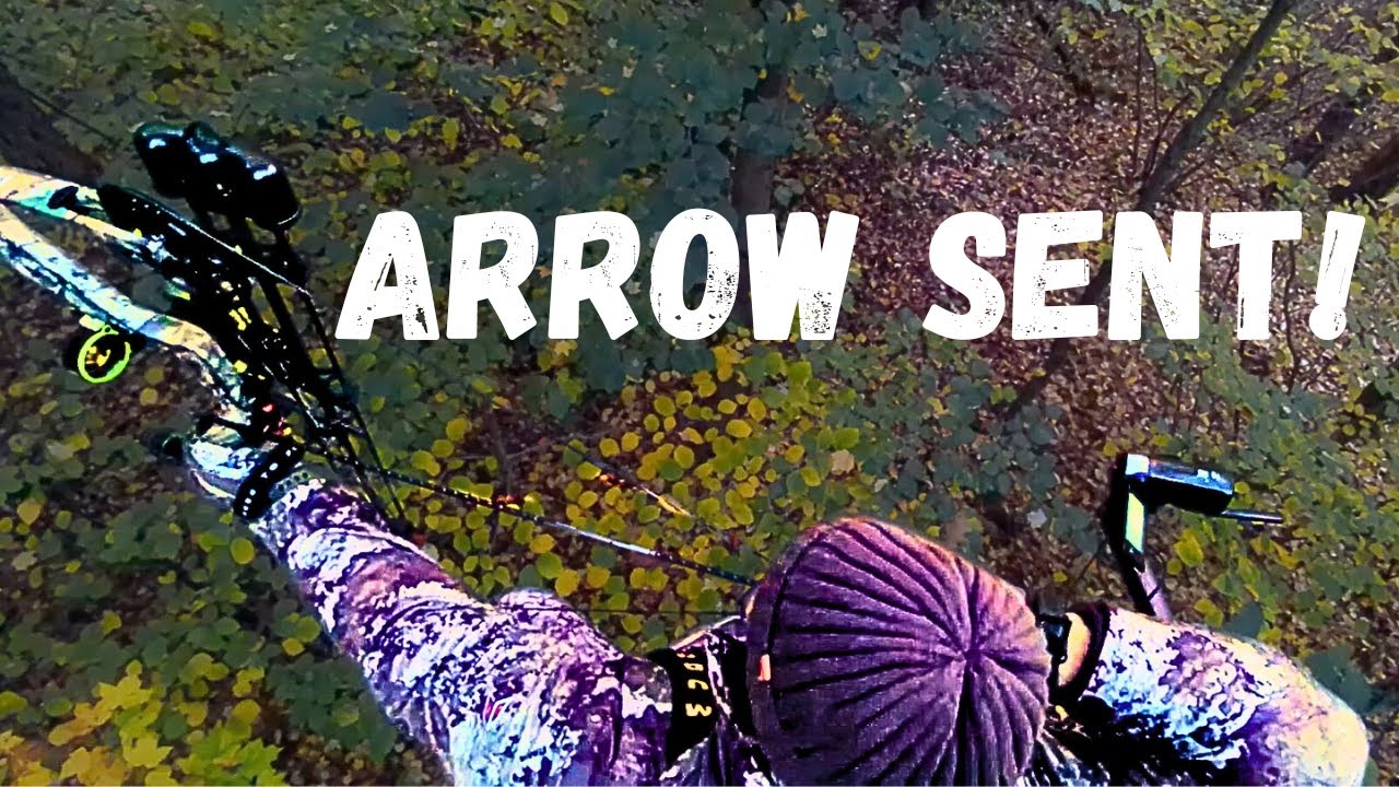 Did we just get our first on camera bow kill? - YouTube