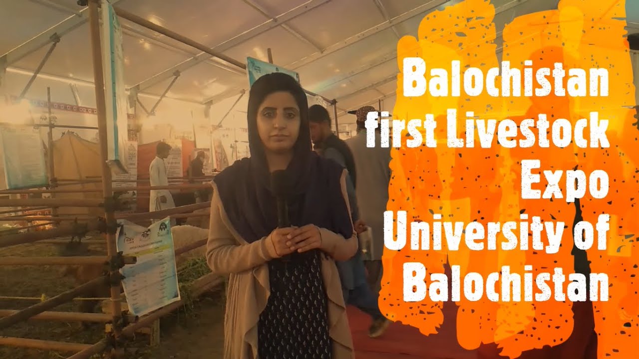 Balochistan first Livestock Expo | University of Balochistan | Quetta ...