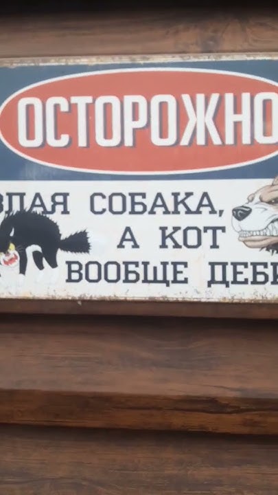 Осторожно Злая собака А кот вообще дебил - YouTube