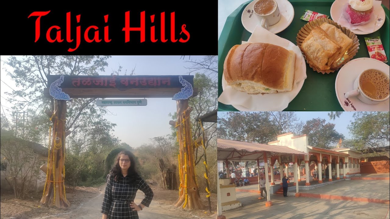 Visit to Taljai Hills & Temple on a lovely morning | सुंदर तळजाई टेकडी ...