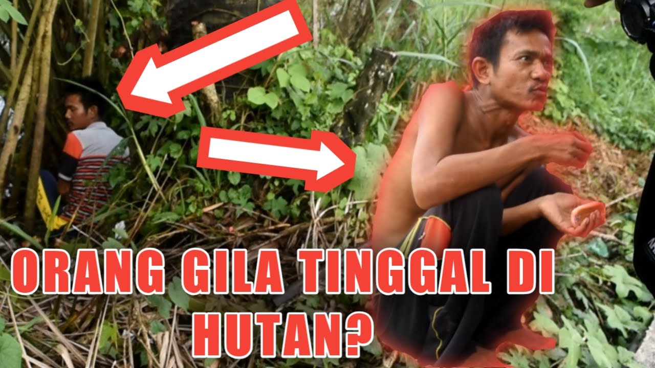ORANG GILA PENGHUNI HUTAN INI BERSAHABAT DENGAN SETAN??? - YouTube
