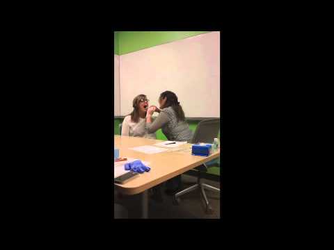 Speech Pathology Oral Mechanism Examination - YouTube